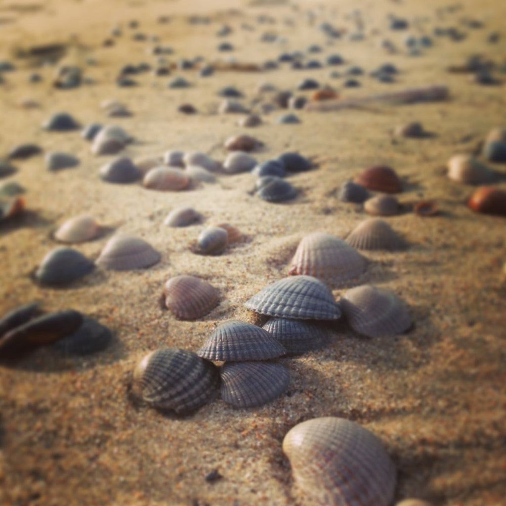 GLÜCKLICH SEIN: ein Gedicht vom Meer