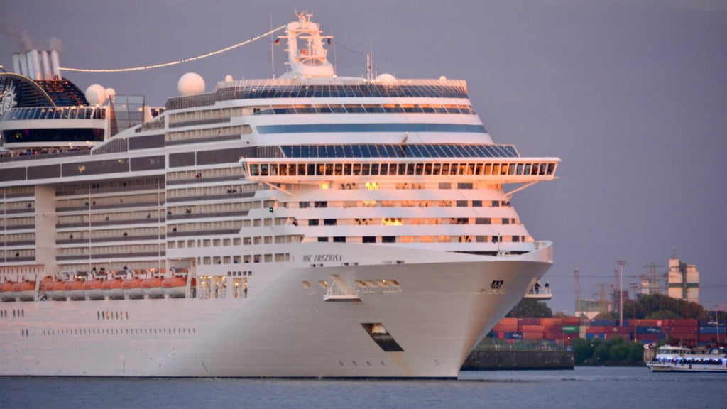 AfD -„Abschiebe“-Kalender macht Kreuzfahrtbranche wütend