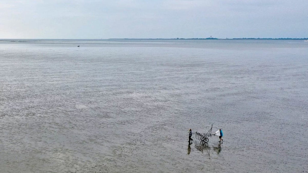 Sensation: Forscher entdecken Kirche von Rungholt nahe Hallig Südfall
