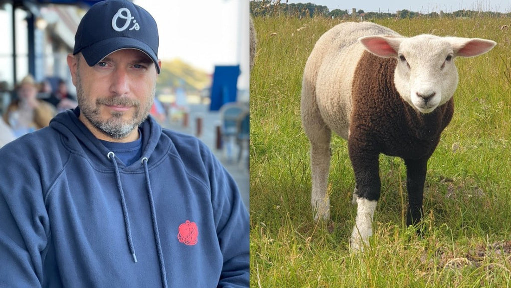 Stefans Geschichten vom Meer: das Schaf Pulli und die Trolle